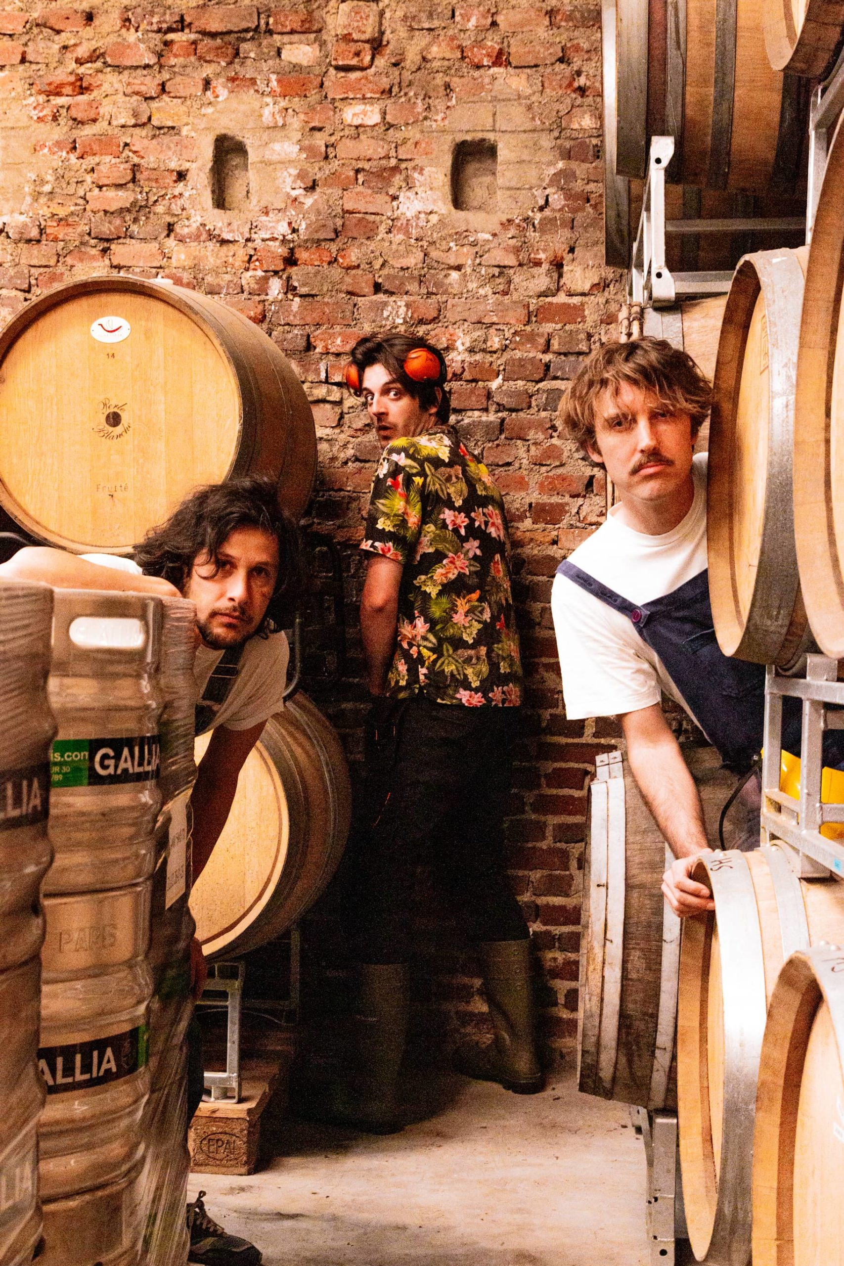 Review : Macadam Crocodile x Mezerg - La Distillerie Musicale